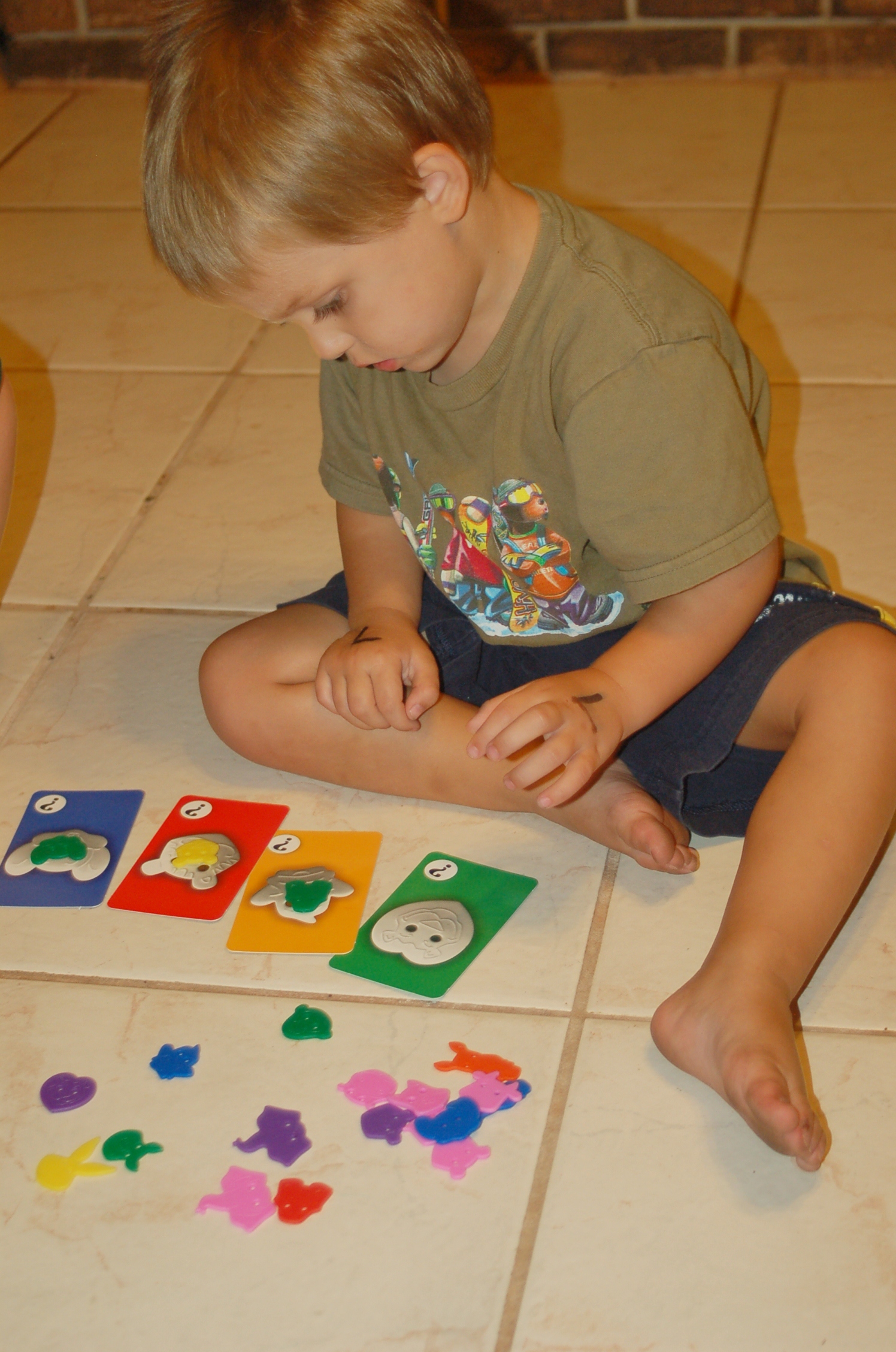 Touch & Match Animal Buttons and Cards Roylco