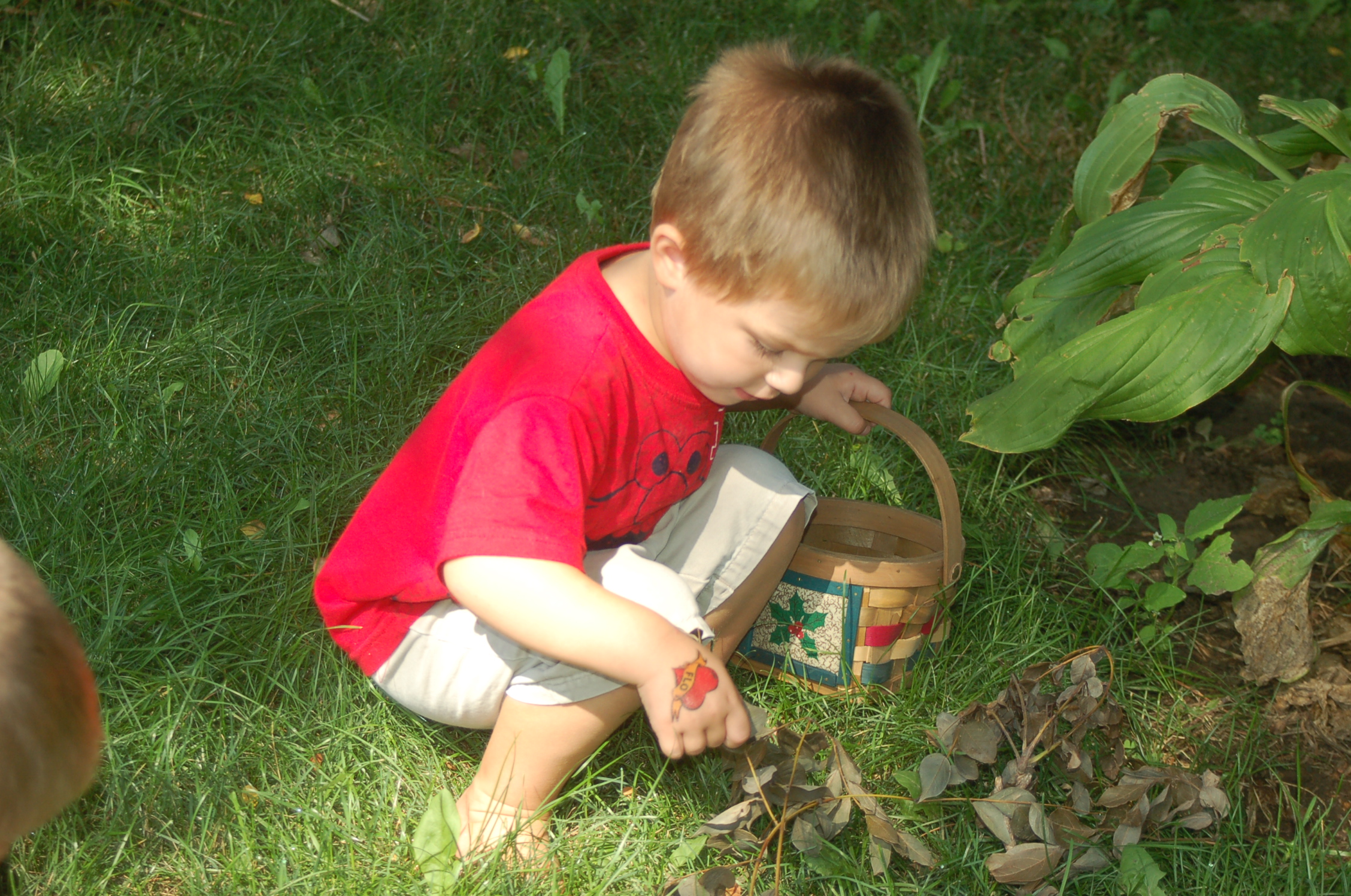 Incorporating Nature into Sensory Activities