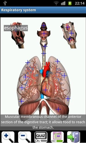 FREE Anatomy App For Android FREE Anatomy App For Android