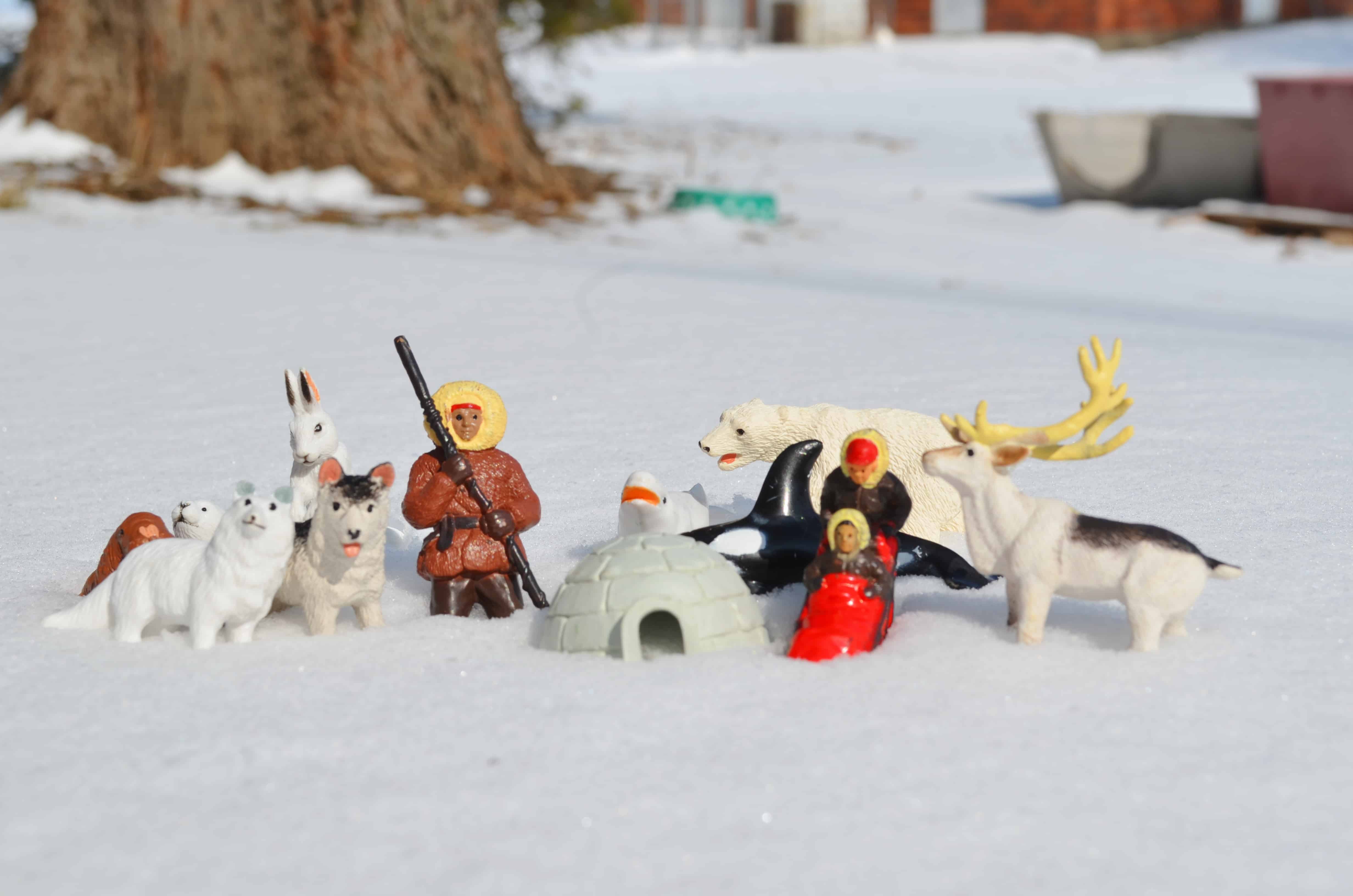 Safari Ltd. Arctic Toob Review - Surviving A Teacher's Salary