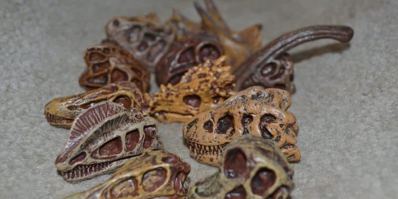 dinosaurs Archives - Surviving A Teacher's Salary