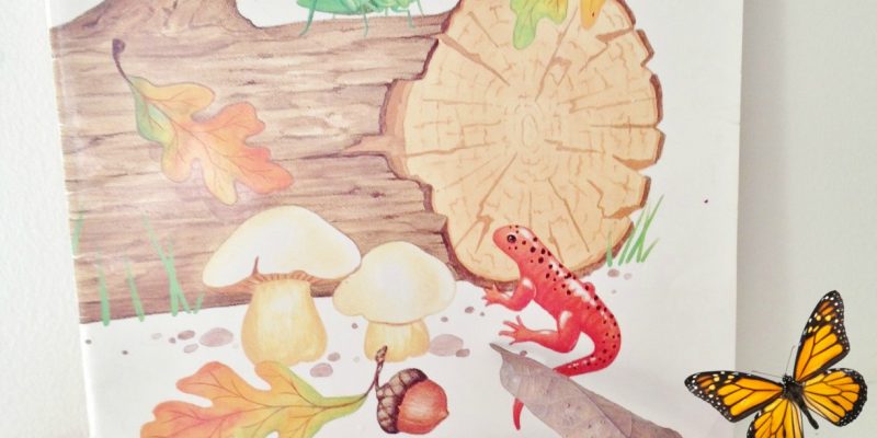 preschool Archives - Page 4 of 5 - Surviving A Teacher's Salary