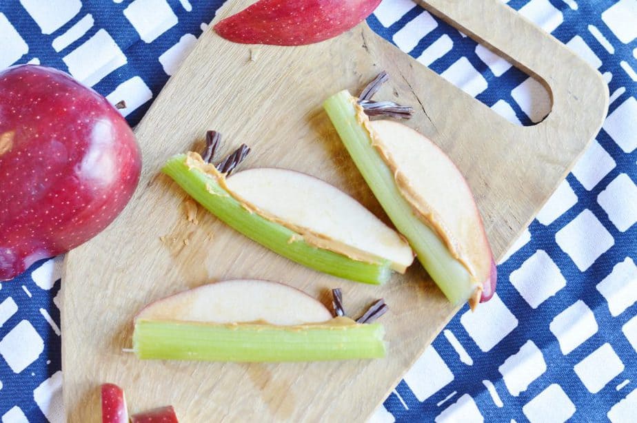 Snail Healthy Animal Snack for Kids - Surviving A Teacher's Salary