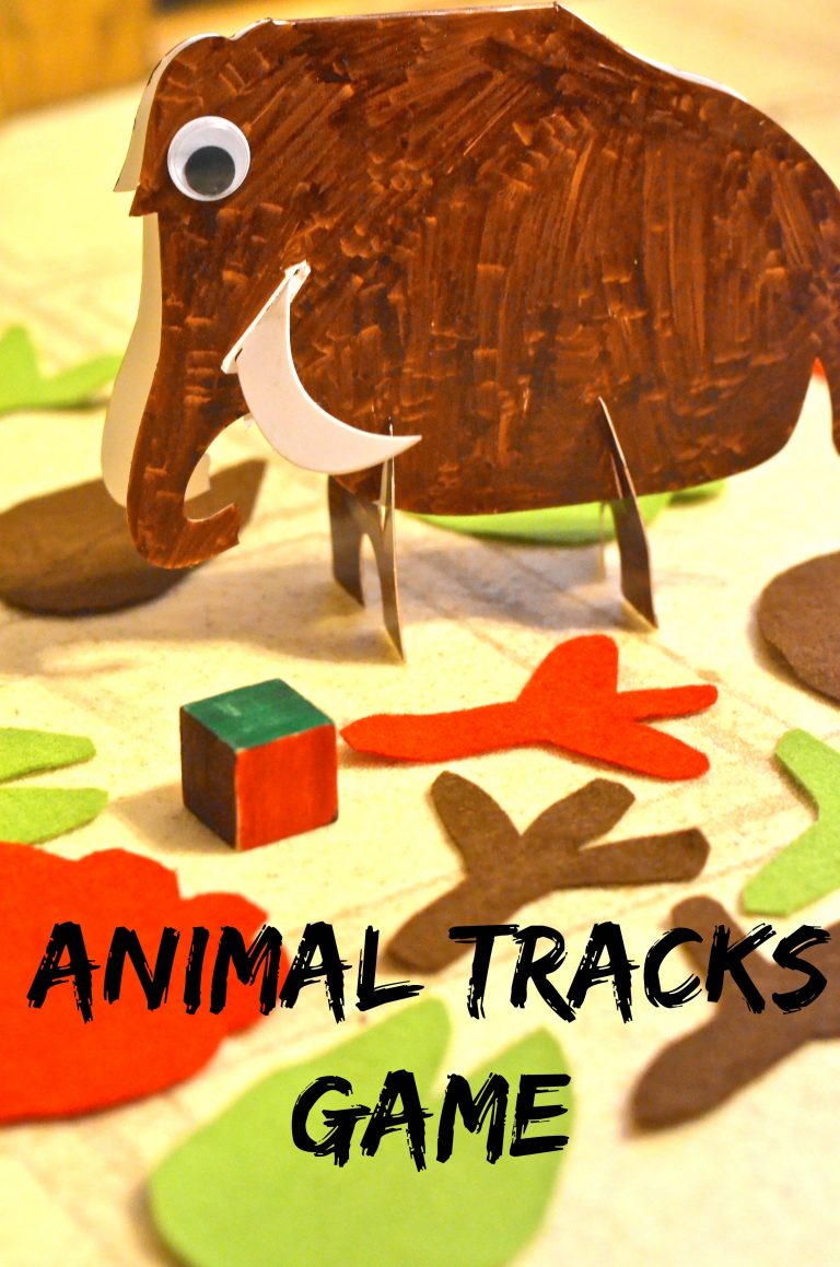 DIY Animal Tracks Nature Game for Kids - Science Expedition
