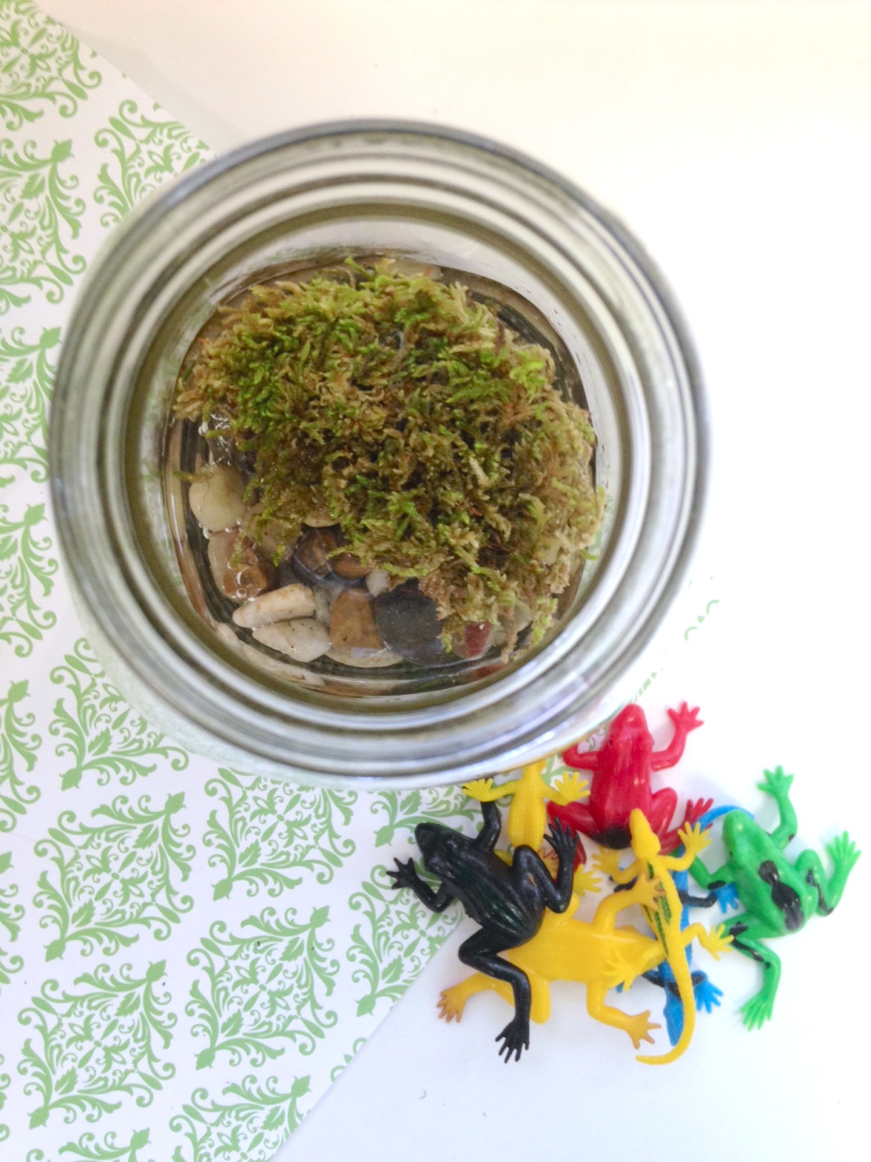Frog Sensory Jar for Preschoolers