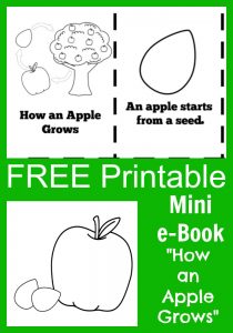 FREE Apple Life Cycle Printable e-Book for Kids