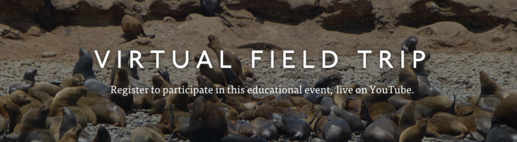 Virtual Field Trips in Lima, Peru - Sustainable Fishing