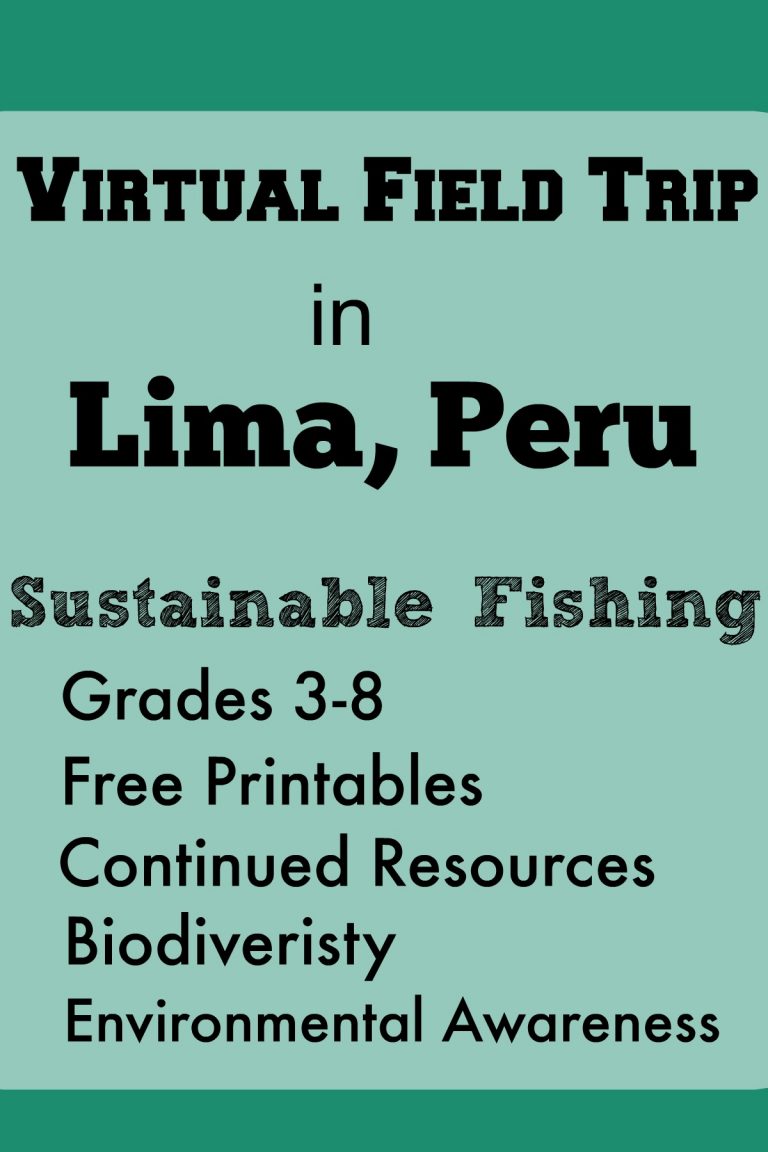 Virtual Field Trips in Lima, Peru - Sustainable Fishing