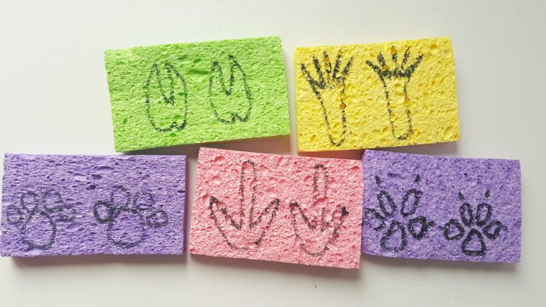 DIY Animal Tracks Activities & Nature Art - Play with Science