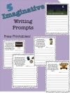 5 FREE Imaginative Writing Prompt Printables : Handwriting is Fun
