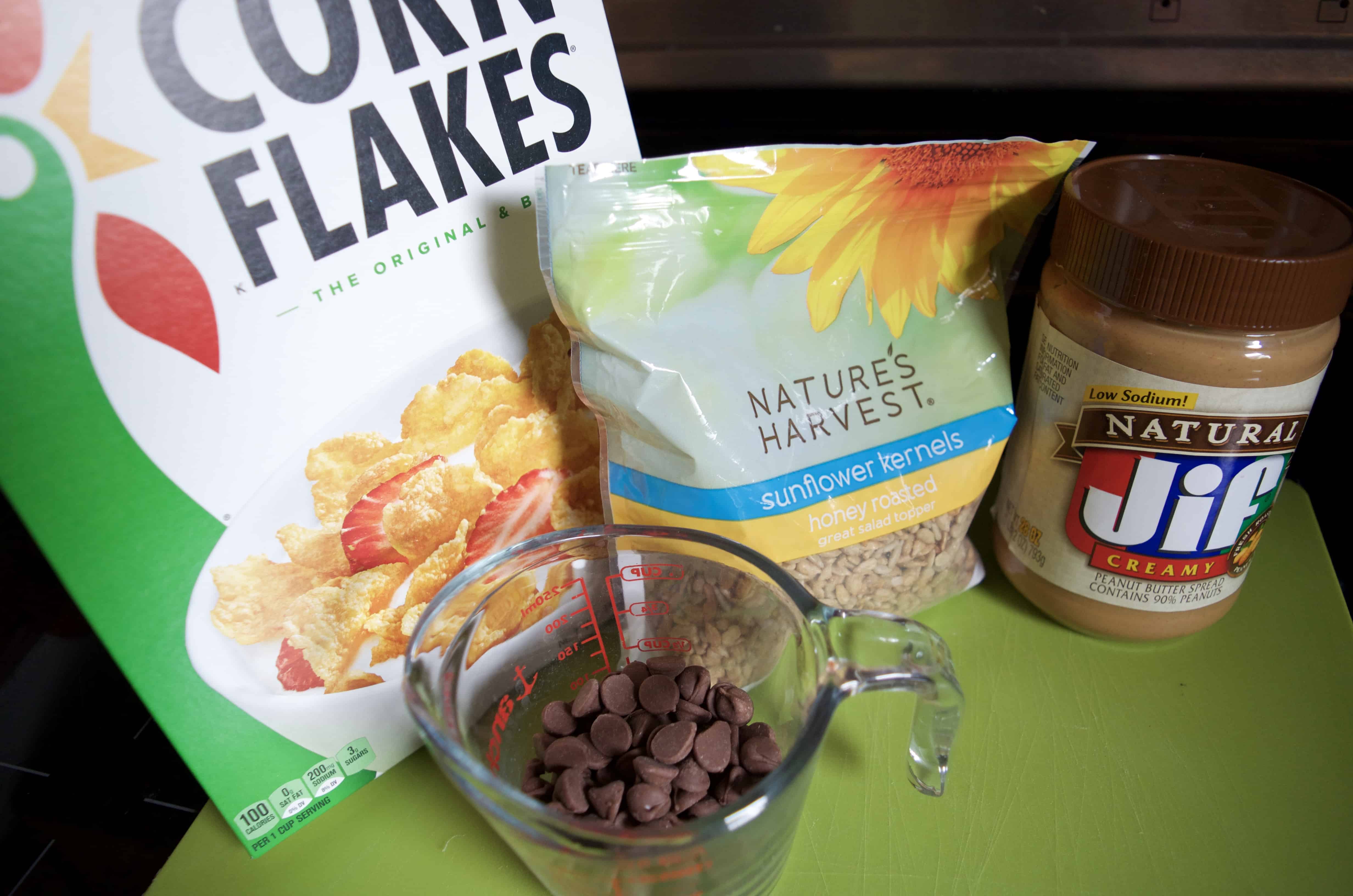 Bigfoot Droppings Recipe & Printable Treat Card: Cryptozoology for Kids