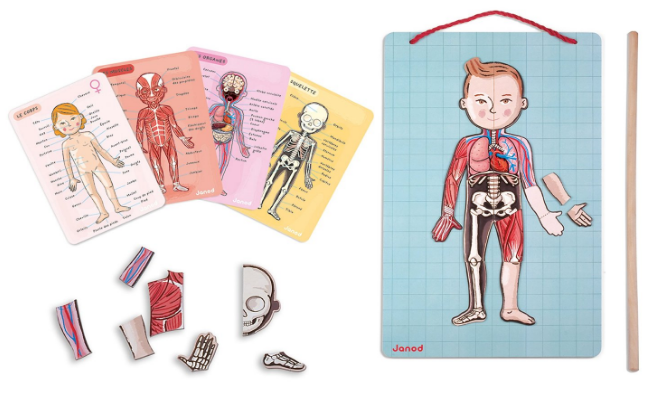 Science Learning Resources - Exploring the Human Body - Preschool
