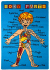 Science Learning Resources - Exploring the Human Body - Preschool