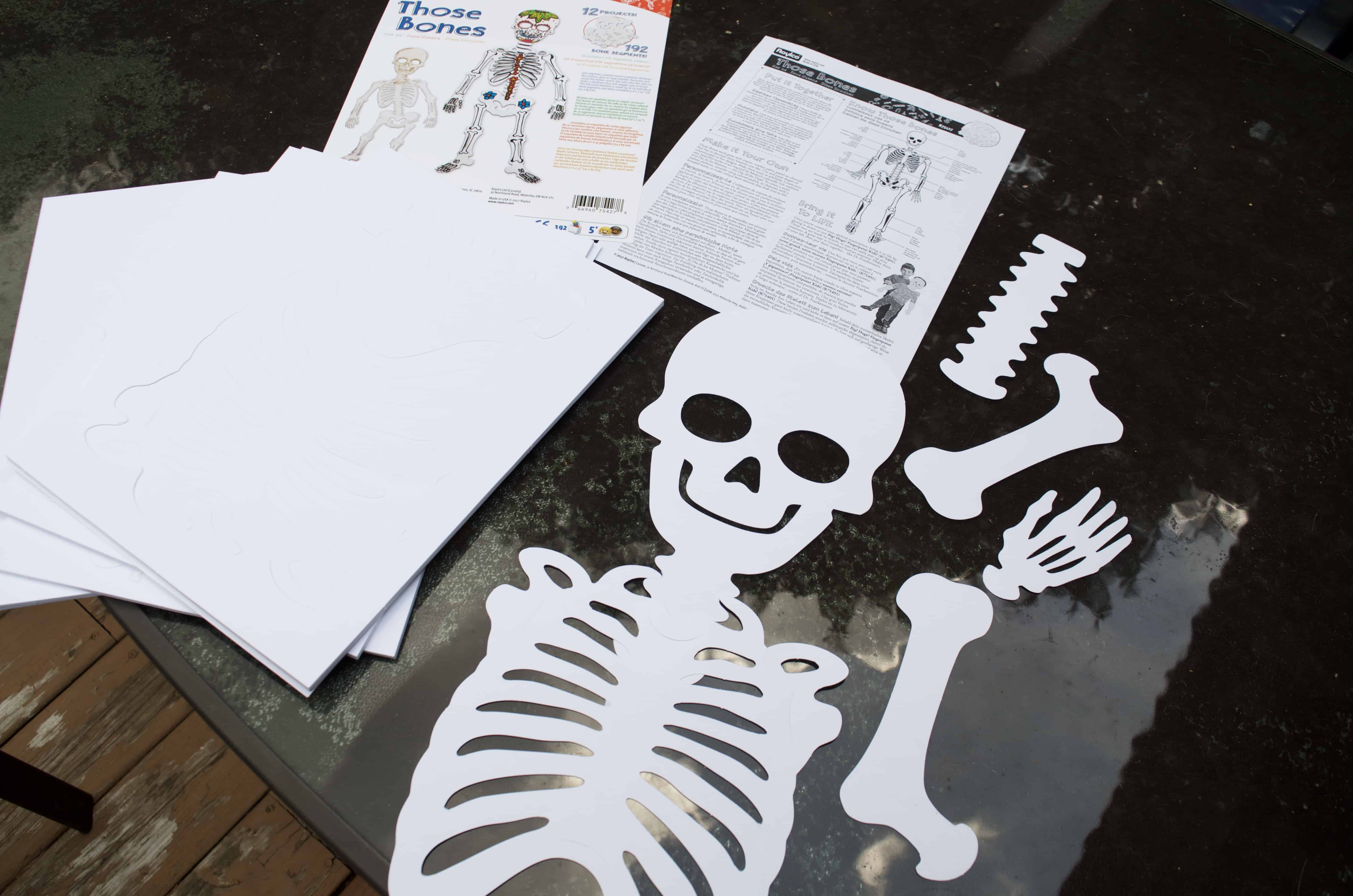Learning About Skeletons Bones School Activities non Halloween 