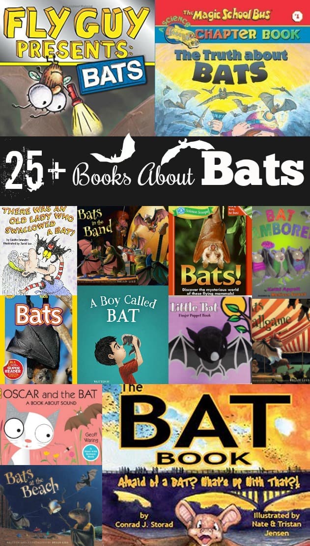 25+ Books About Bats for Preschool & Elementary Reading