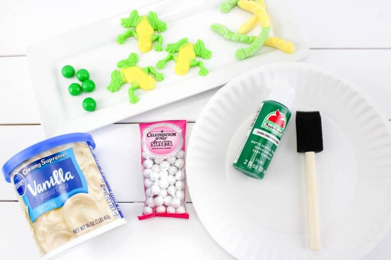 Frog Life Cycle Paper Plate Craft for Kids in Science