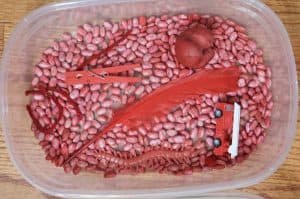 How to Dye Beans for Learning Colors Sensory Bin Idea