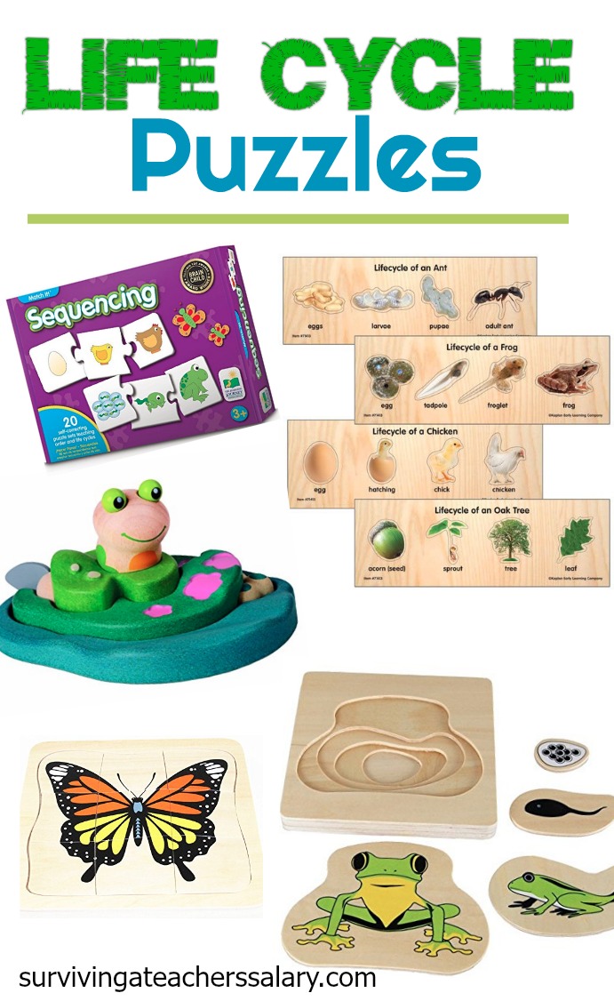 Life Cycle Products to Buy for Educational Learning Roundup