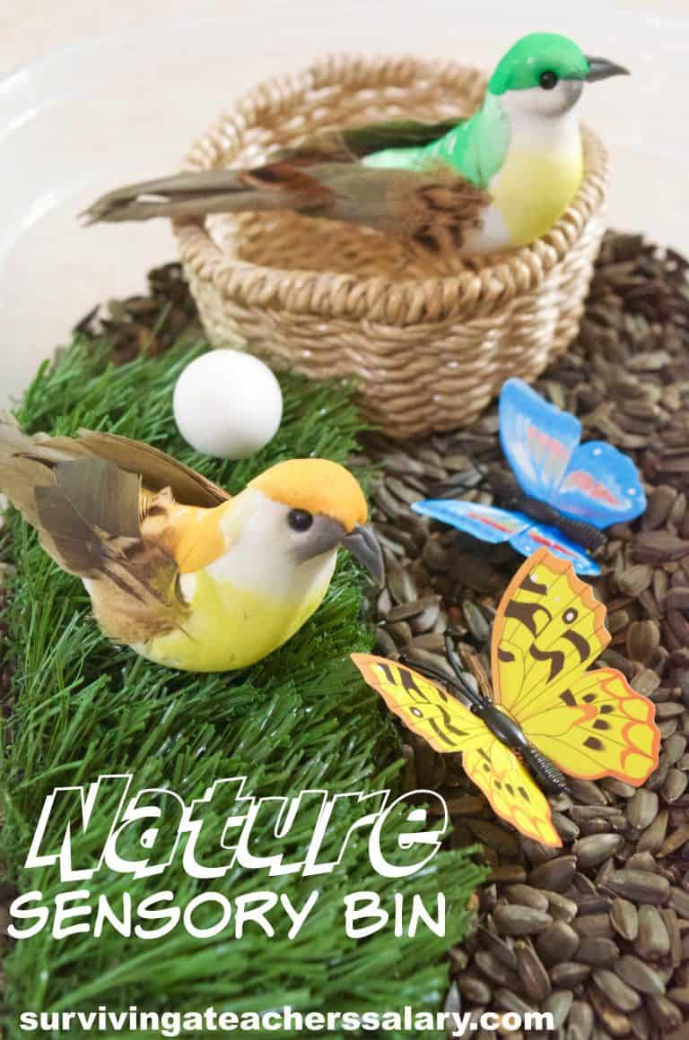 Birds & Butterflies Nature Preschool Sensory Bin Idea