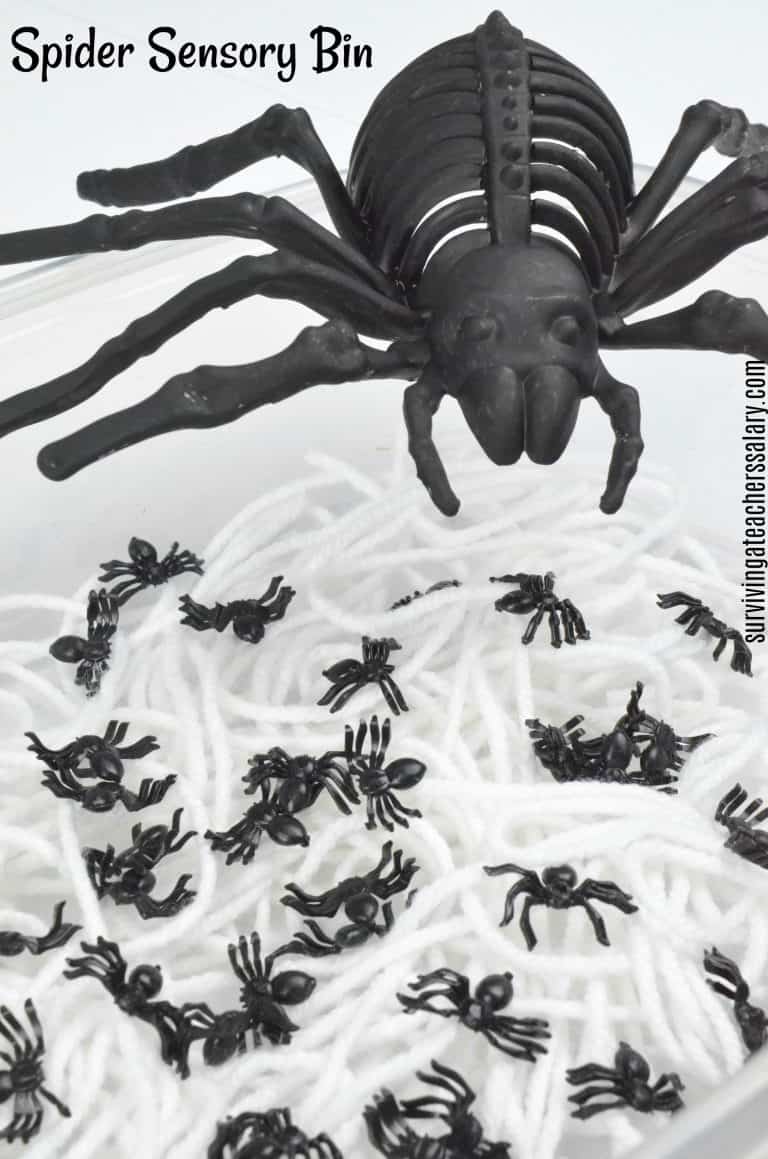 Spider Web Sensory Bin: Halloween Science Preschool Play