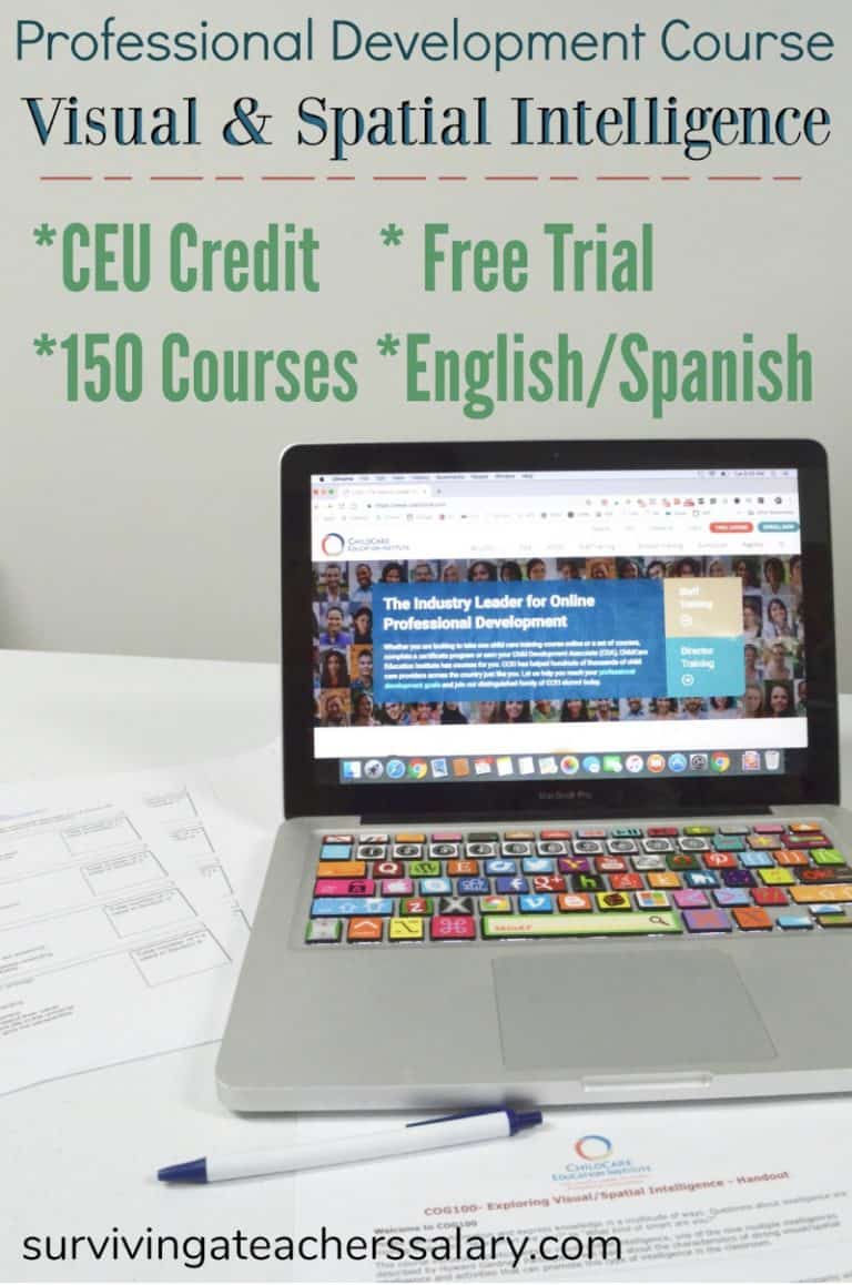 Professional Development Course on Visual & Spatial Intelligence