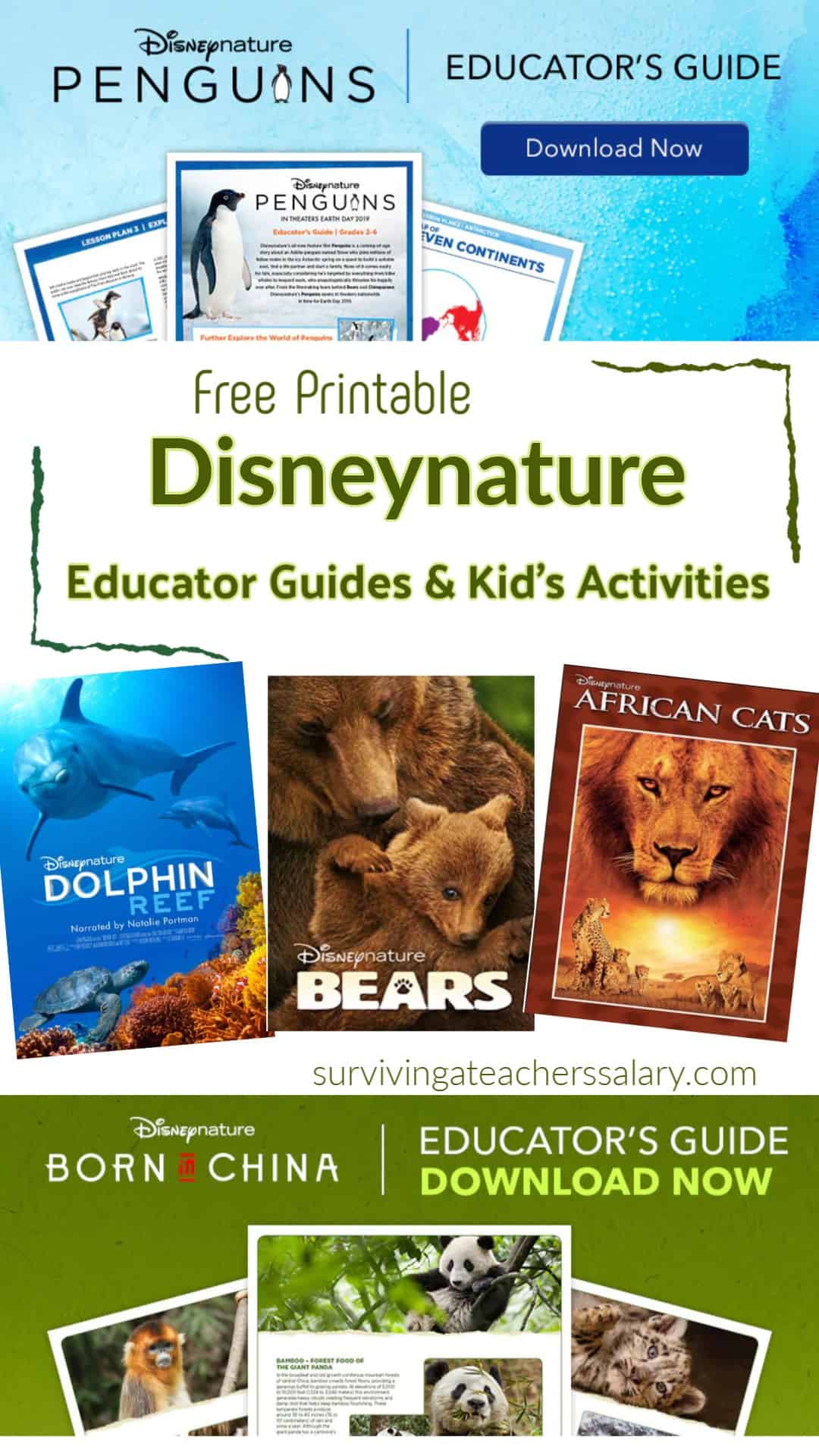 Disney Nature Videos + Teacher Guides - FREE Learning Resources
