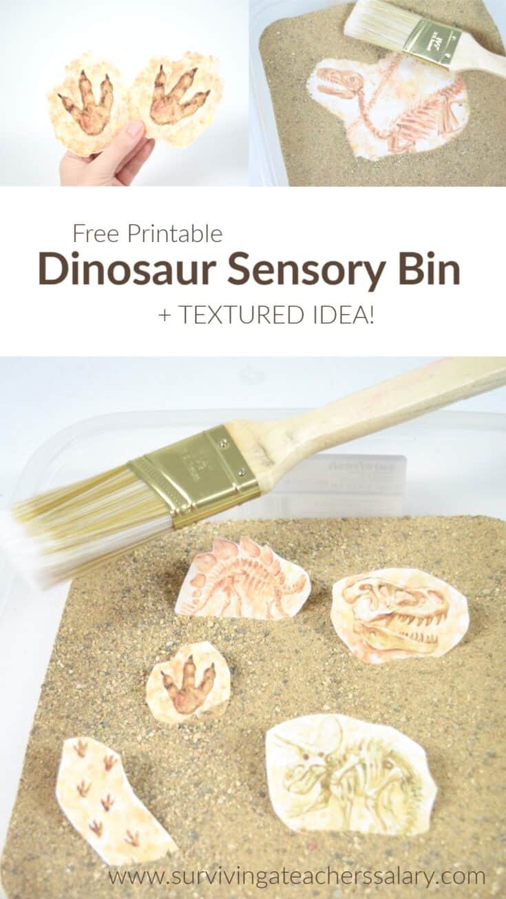 Printable Dinosaur Sensory Bin Kid's Activity - Textured Dig This!