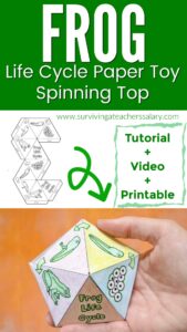FREE Printable Frog Life Cycle Interactive Spinner Top Toy Idea