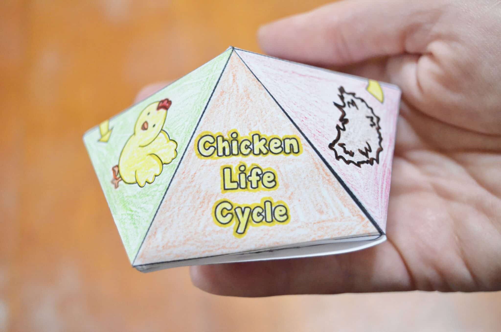 FREE Printable Chicken Life Cycle Interactive Spinner Top Toy
