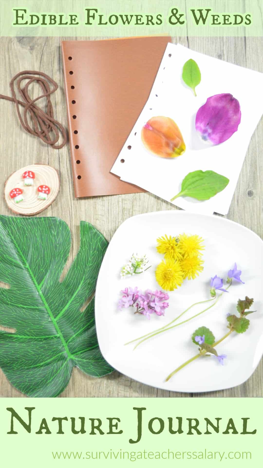 How to Make Natural Paint Earth Pigment from Nature