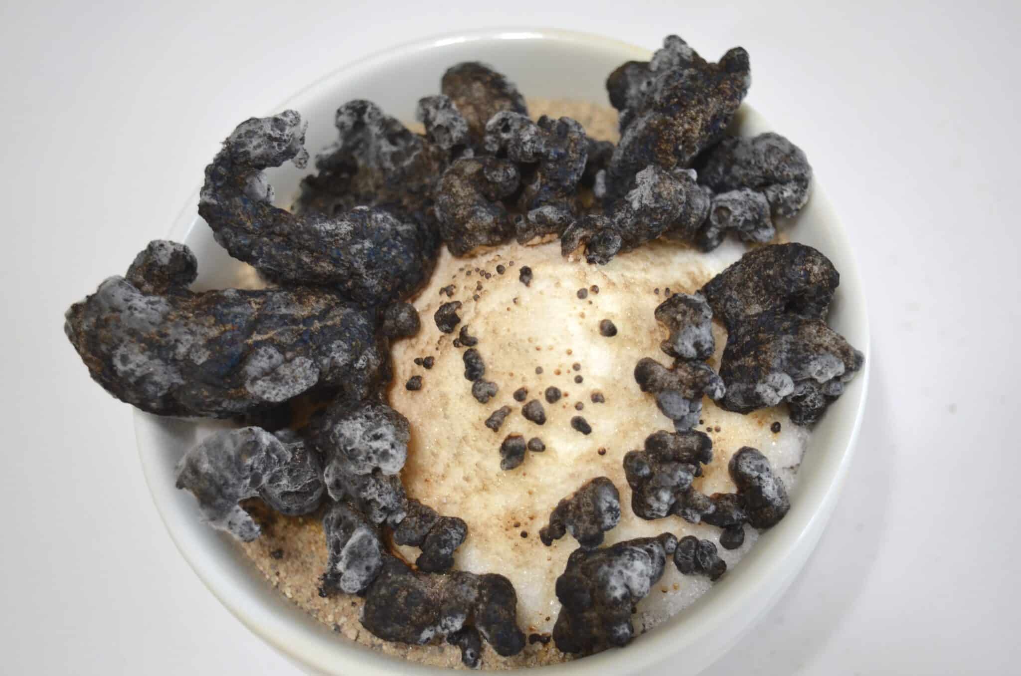 How to Make a Fire Snake Science Experiment with Kids