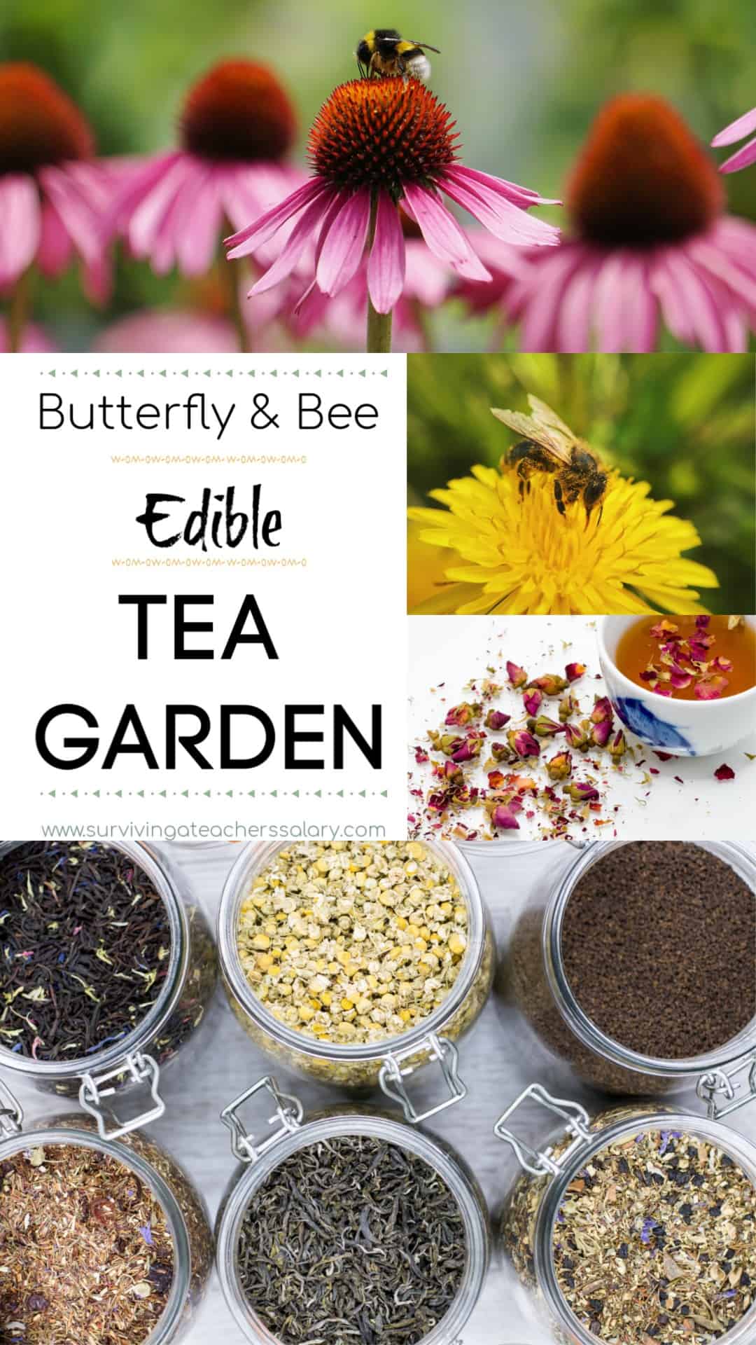 Butterfly & Bee Garden for Pollinators - How to Make an Edible Tea Garden