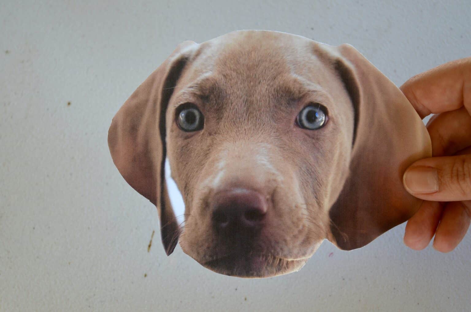 Printable 3D Headband Dog Craft for Kids - Celebrate Pets Week!