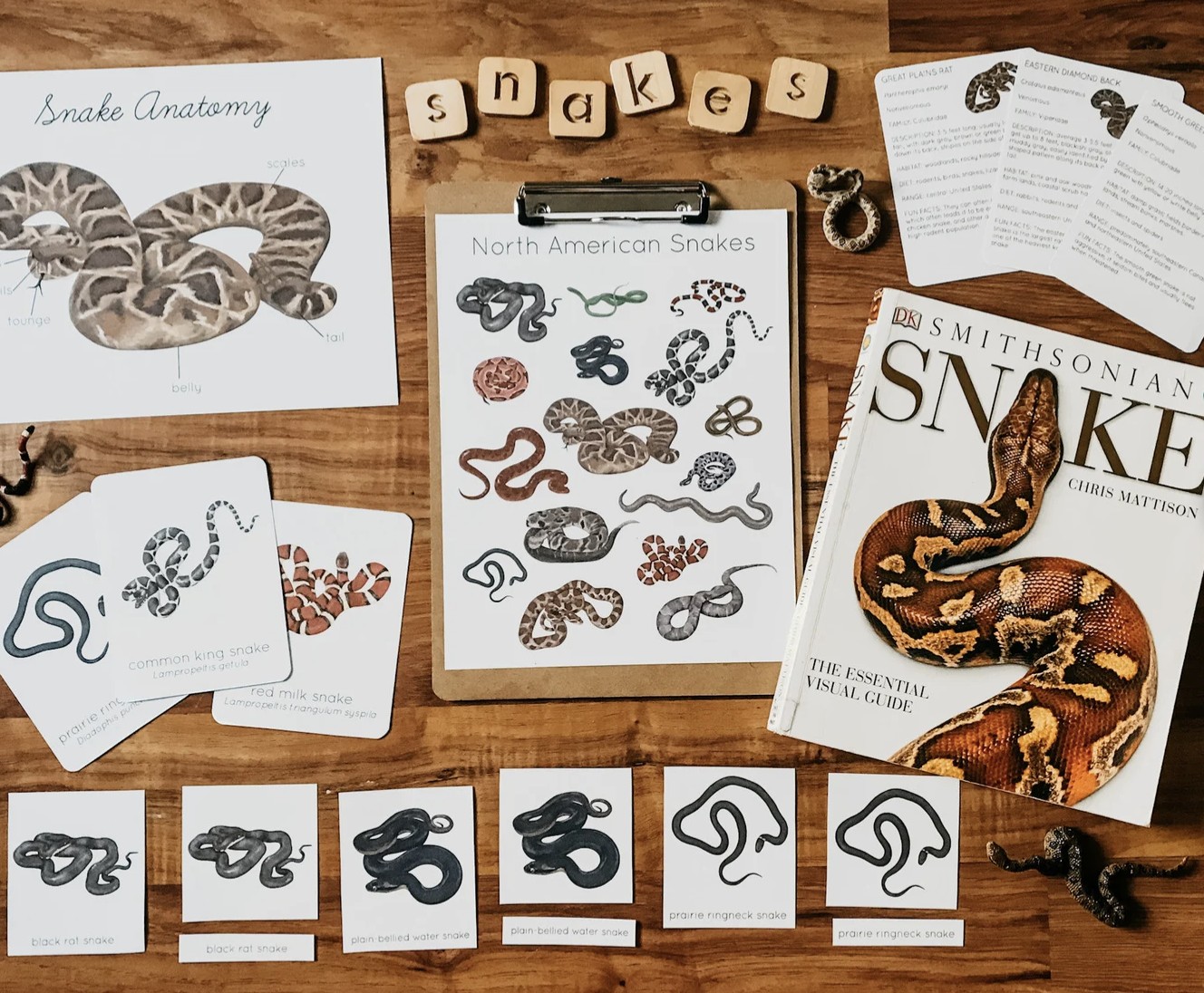 Let's Learn About Snakes: Sensory Salt Dough Nature Activity