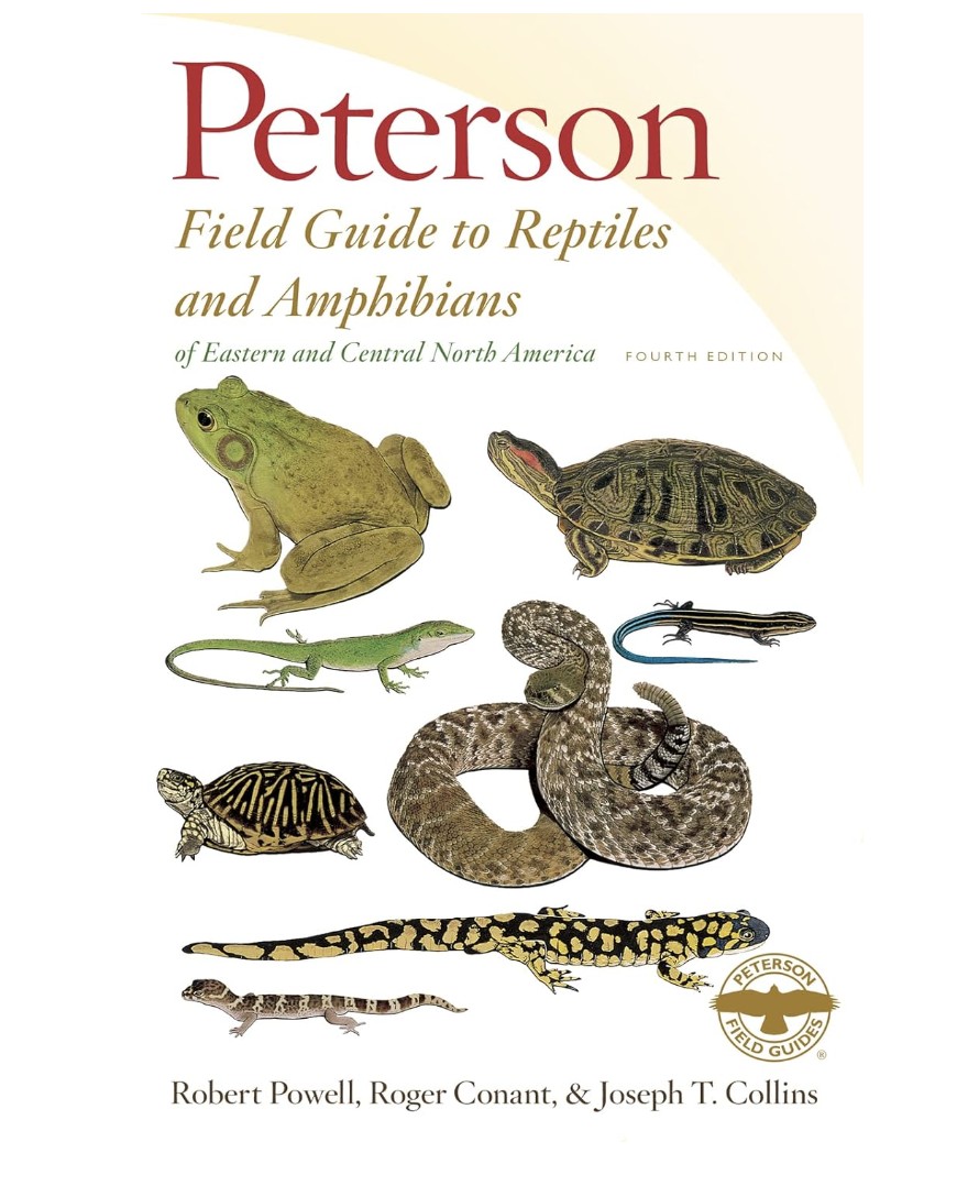 Let's Learn About Snakes: Sensory Salt Dough Nature Activity