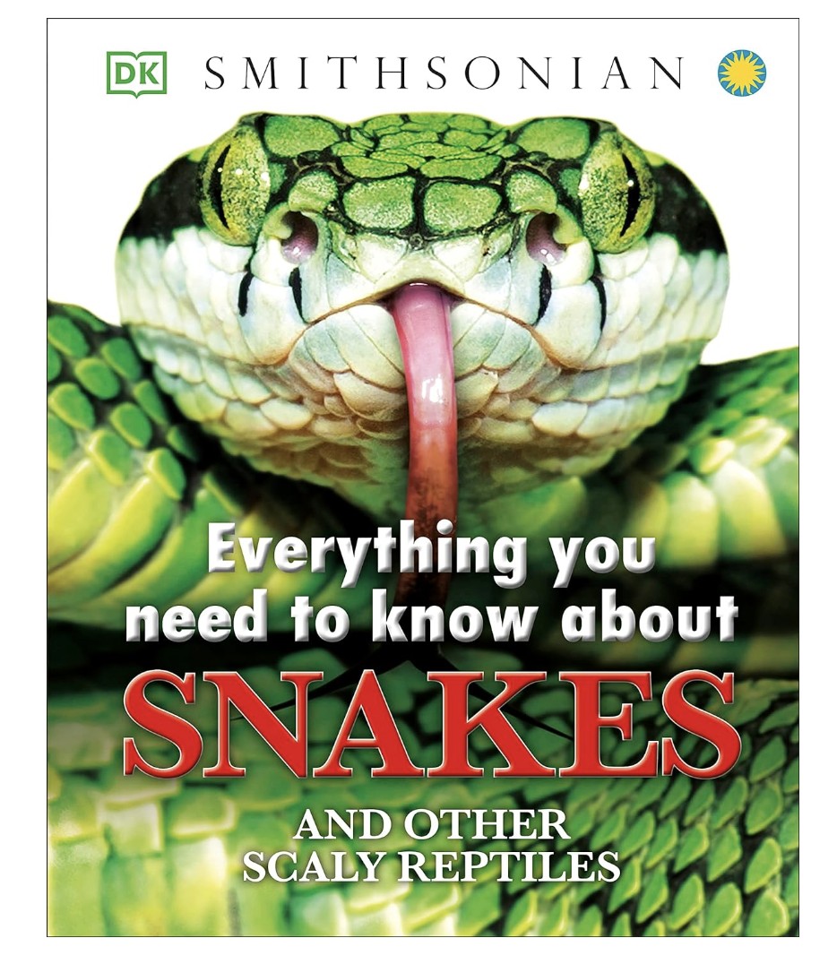 Let's Learn About Snakes: Sensory Salt Dough Nature Activity