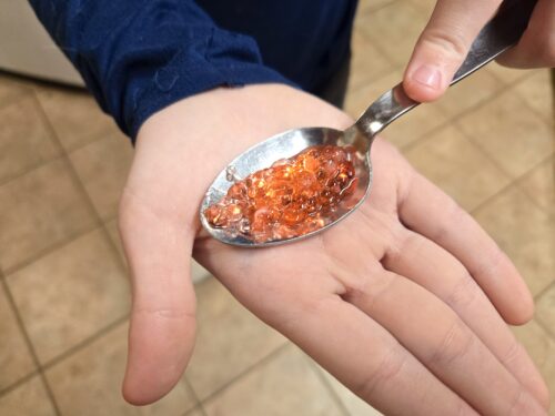 How to Make Boba STEM Science Experiment